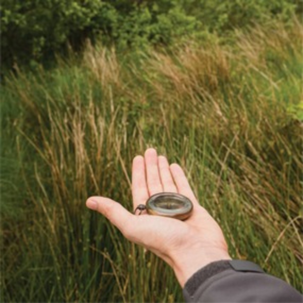 Tune In to Your Inner Compass - A Womans Health